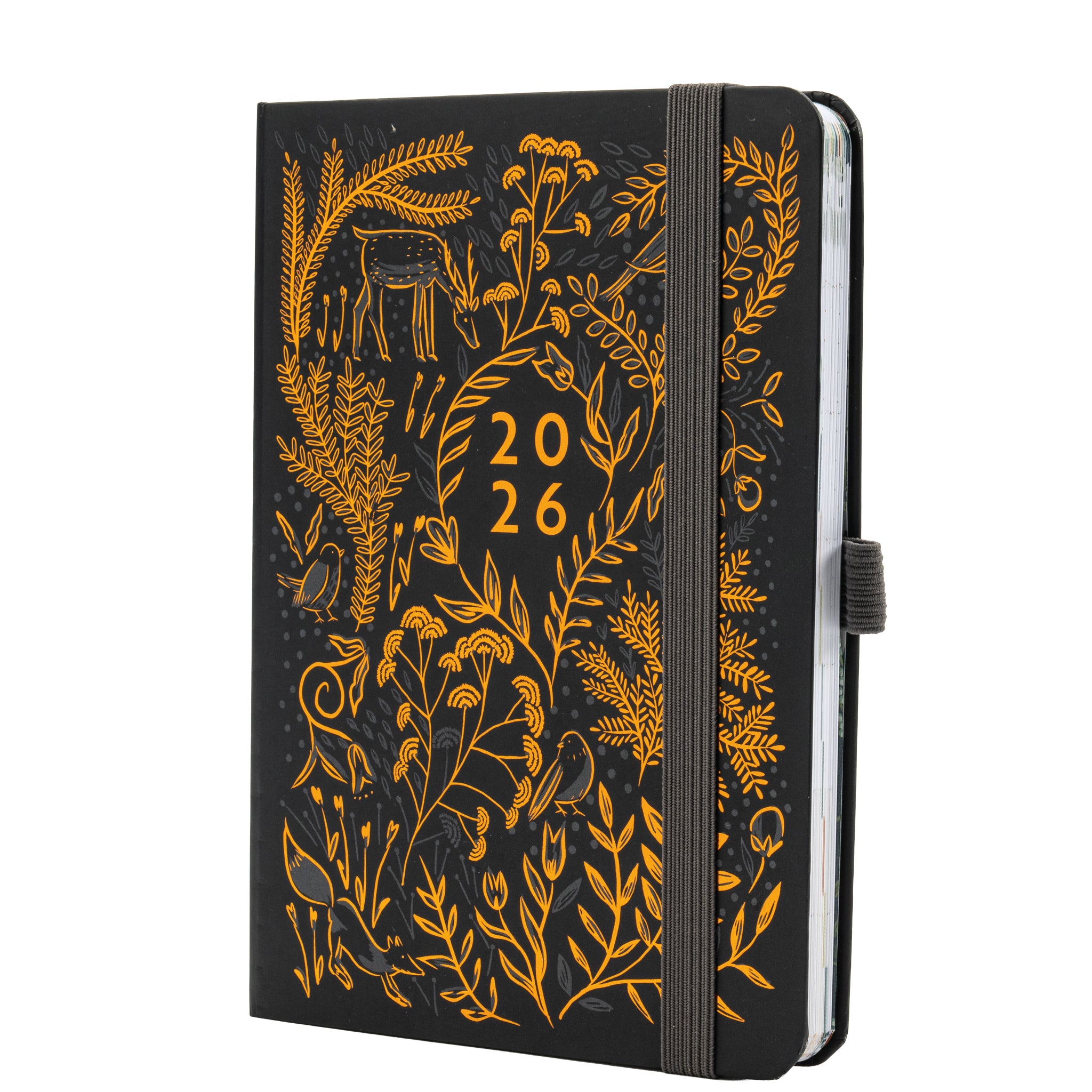 Everyday Diary 2026 | Bag Sized Week to View Diary with Note Pages ...