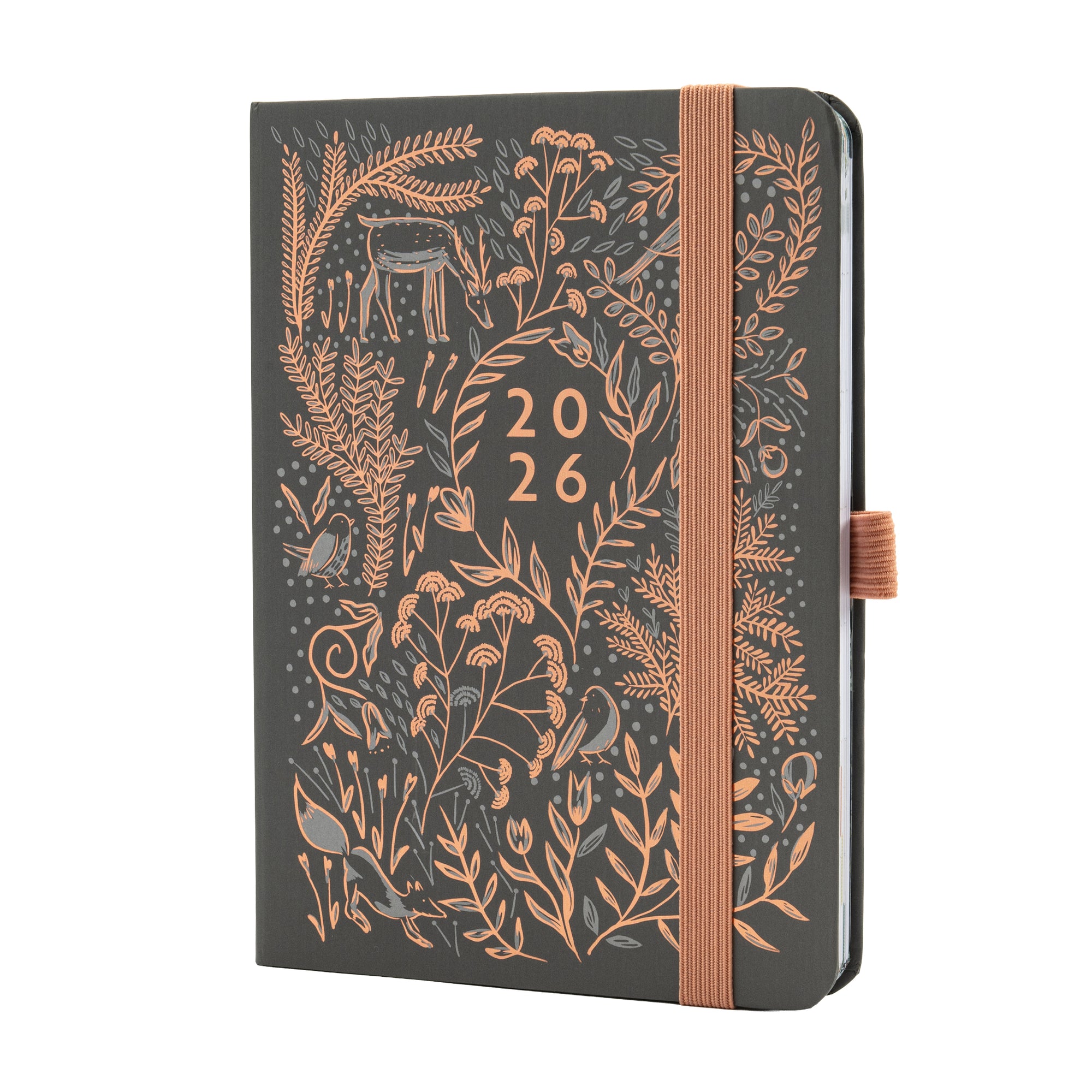 Everyday Diary 2026 | Bag Sized Week to View Diary with Note Pages ...